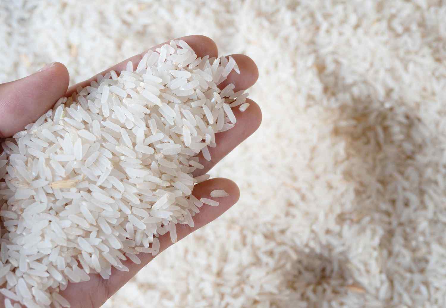 Top 7 Best Rice Types To Make The Perfect Sticky Rice🍚🌾
