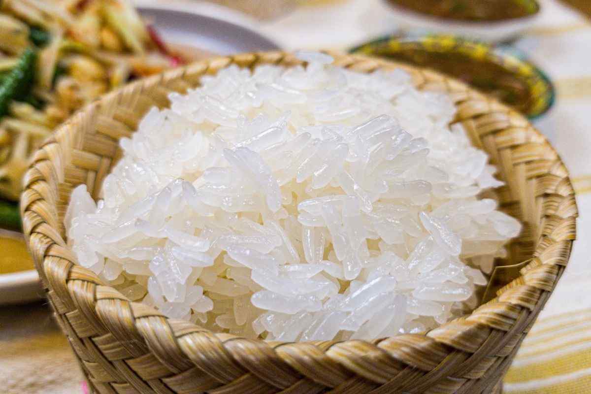 Top 7 Best Rice Types To Make The Perfect Sticky Rice🍚🌾