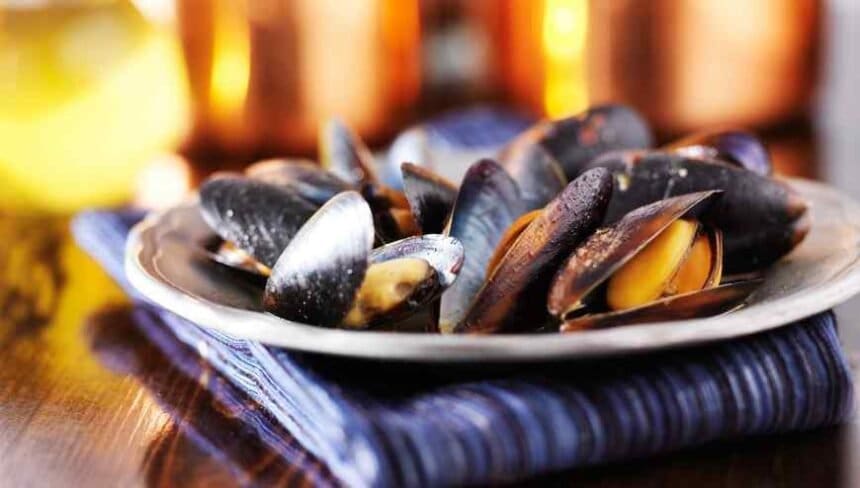 What to Do with Leftover Mussels? - 10 Easy Recipe Ideas