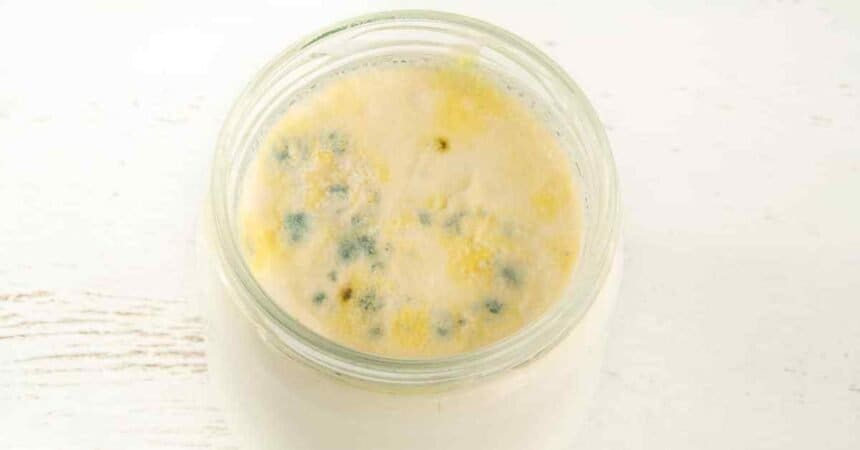 Is Moldy Butter Safe to Eat? - Here's What You Need to Know