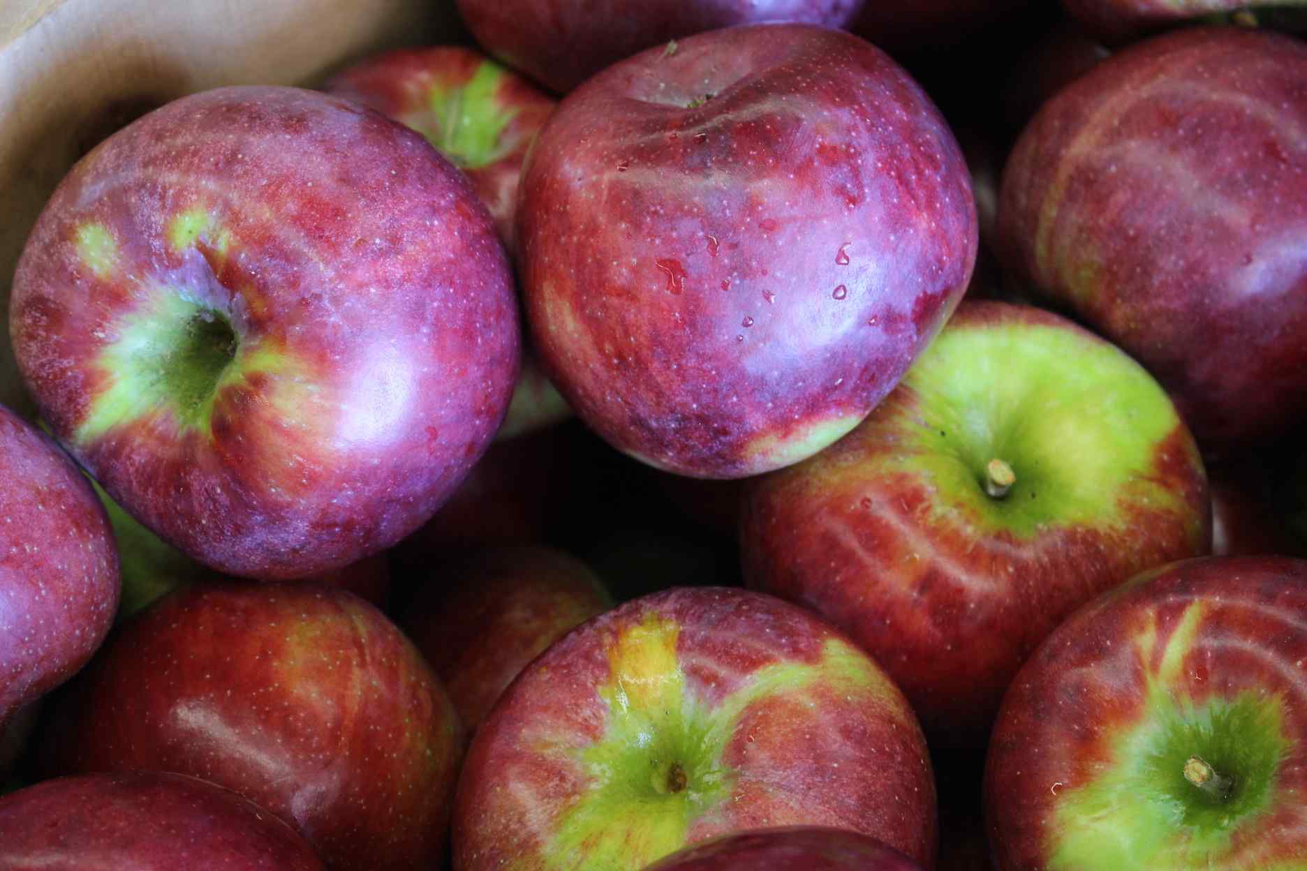 Top 5 Best Apples for Charoset - Ranked (2024)