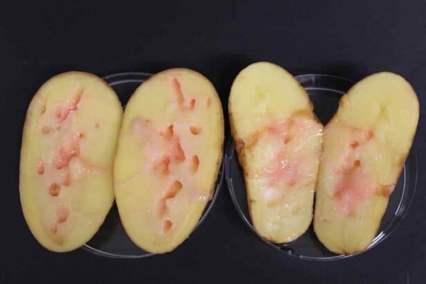 Mold on Potatoes - How to Tell if the Rest Are Safe?